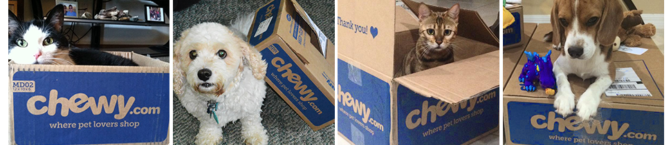 About Us | Chewy.com