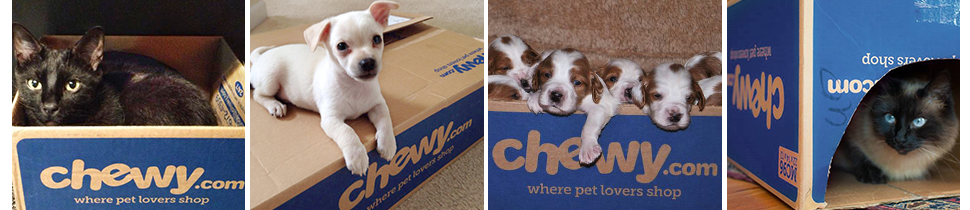 About Us | Chewy.com