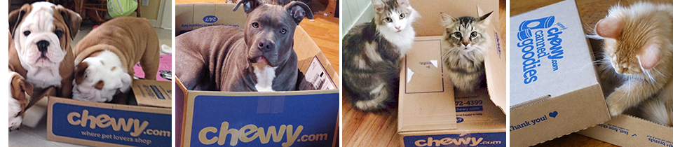 About Us | Chewy.com