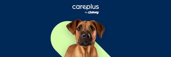 Pet Health | Chewy